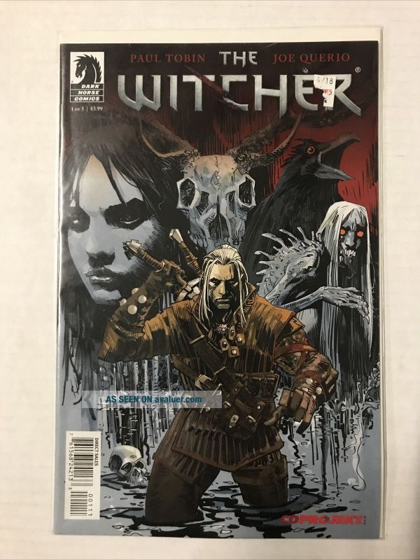 Dark Horse Comics The Witcher 1 1st Appearance Witcher Netflix Series ...