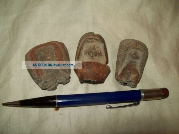 Rare Ancient Pre Columbian Valdivia Indian Venus Pottery Heads | #48428090