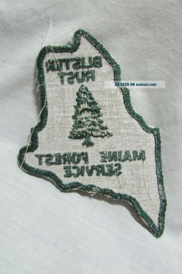 VINTAGE STATE MAINE FOREST SERVICE BLISTER RUST STATE SHAPED CLOTH ...