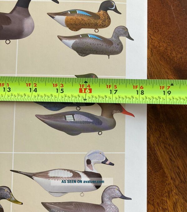Chesapeake Bay Gunning Duck Decoys Poster Capt. Harry R. Jobes Signed ...