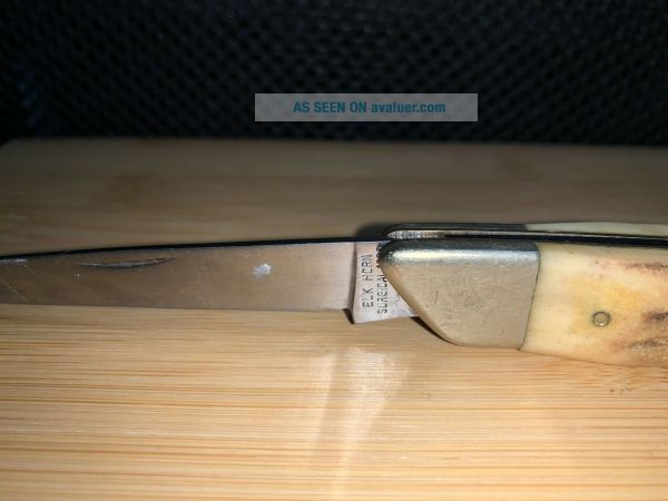 Vintage Taylor Cutlery Elk Horn 1980 Surgical Steel Pocket Knife (Made ...
