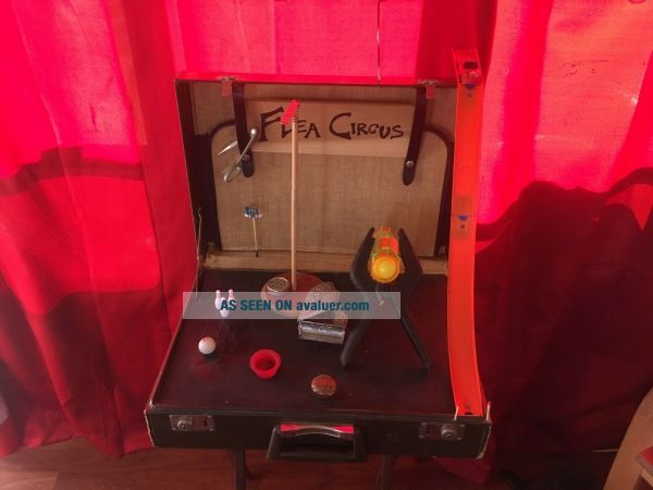 Flea Circus Instructions - How To Make A Vintage Functioning Flea ...