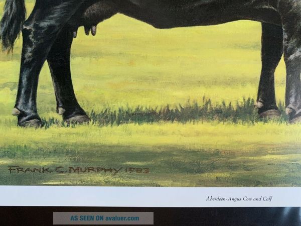 VINTAGE BLACK AMERICAN ANGUS ASSOC. ABERDEEN COW PICTURE PRINT F. C ...
