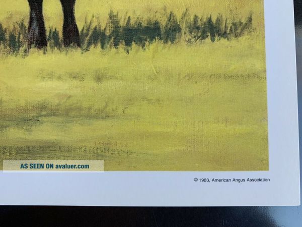VINTAGE BLACK AMERICAN ANGUS ASSOC. ABERDEEN COW PICTURE PRINT F. C ...