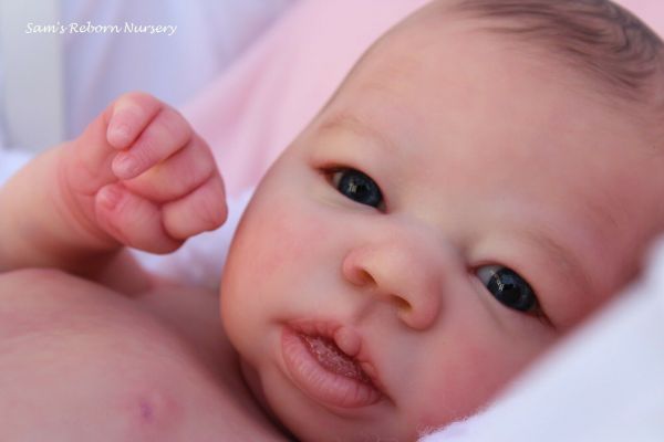 Reborn Baby Doll Felicity Awake Sam ' S Reborn Nursery | #62021027