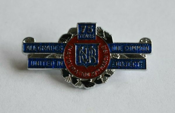 Vintage NUR 75 YEARS Trade Union Enamel Badge National Union Of ...